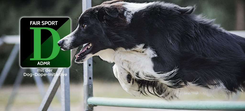 Hundesport - Das Dopingsiegel für Pferdefutter und Pflegemittel